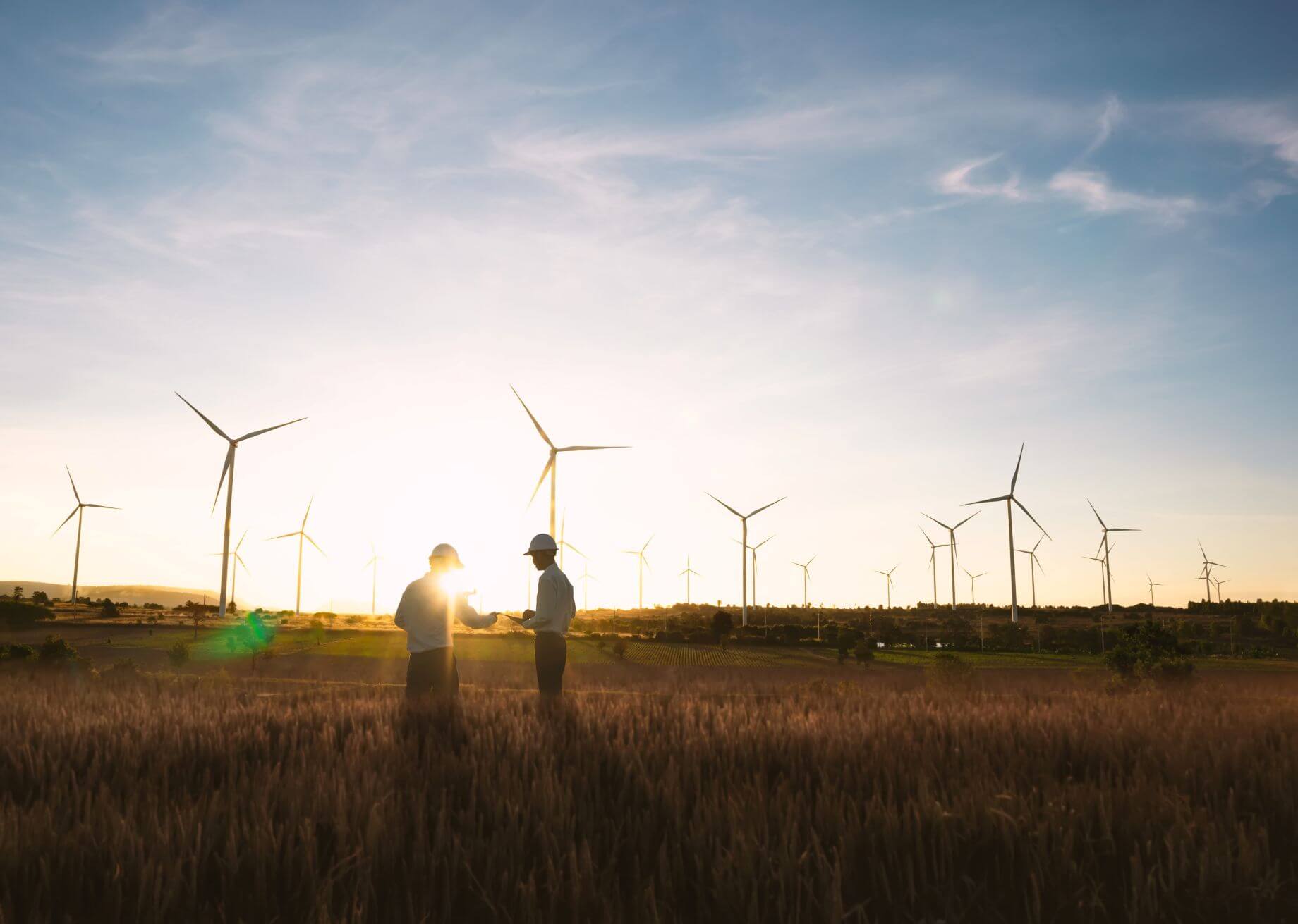 Mining and Natural Resources Law - Lexia Attorneys